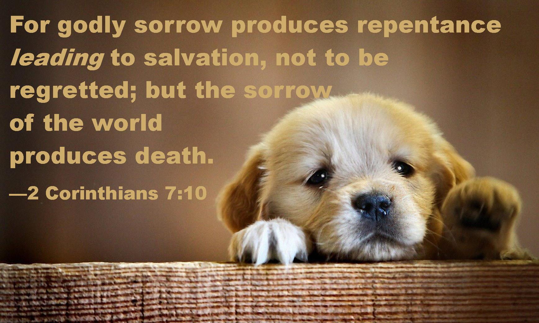 2 Corinthians 7:10 - Wellspring Christian Ministries