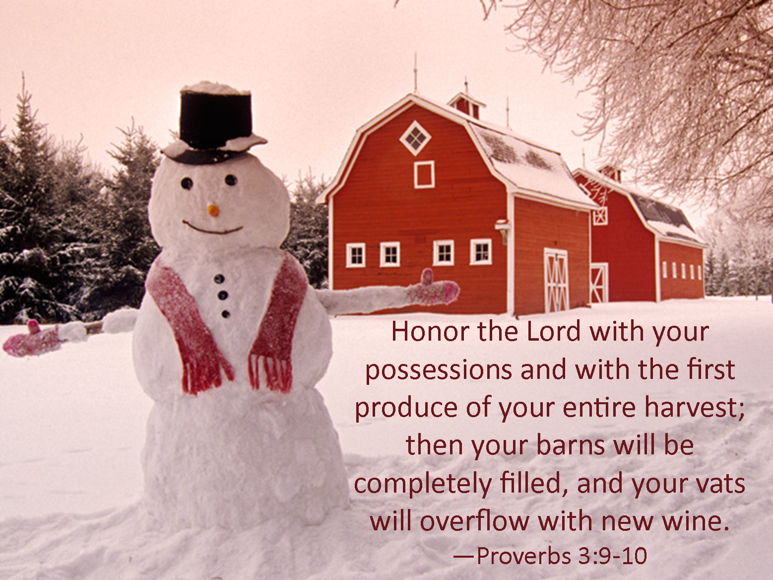 Proverbs 3:9-10 - Wellspring Christian Ministries