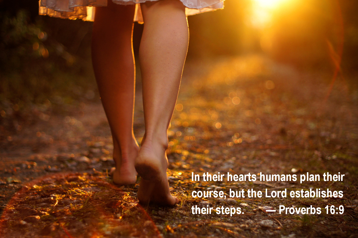 Proverbs 16:9 - Wellspring Christian Ministries