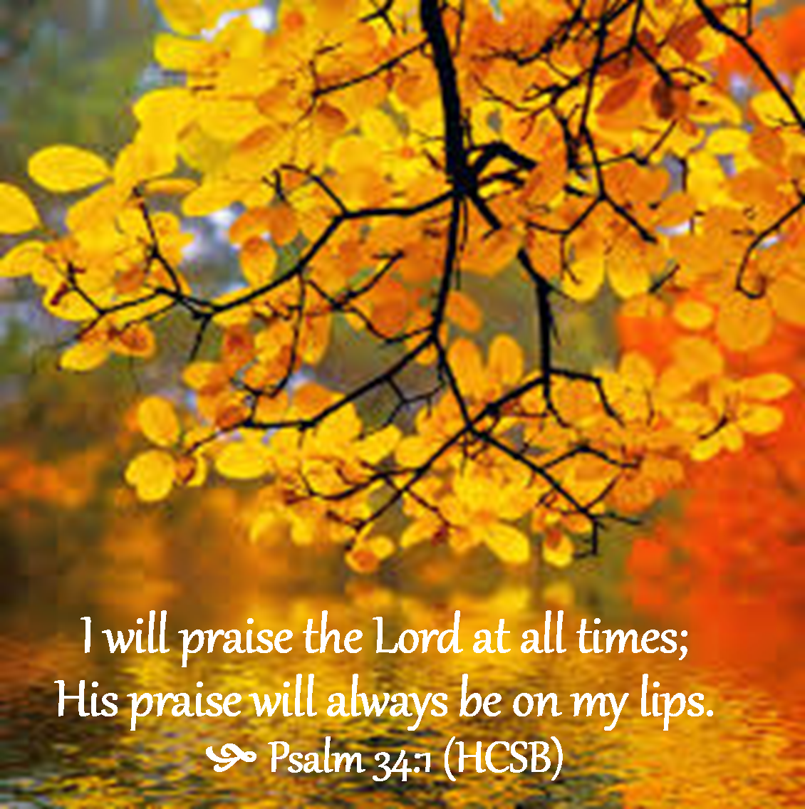Psalm 28:7 - Wellspring Christian Ministries